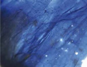How to Tell Real Sapphire vs Fake – Precision cut Ceylon sapphires